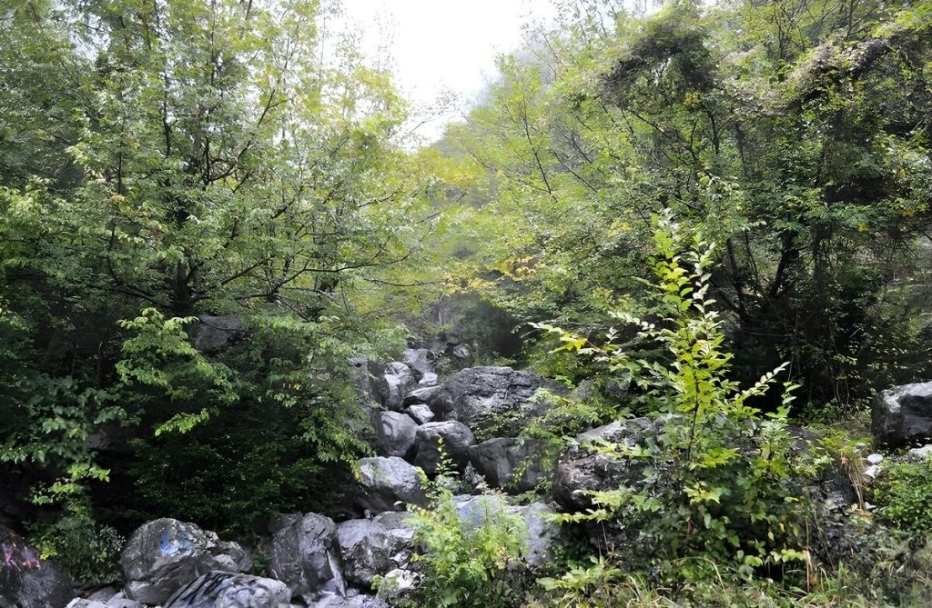 Climbing Mount Olympus: Practical Tips & Route Guide from a Traveler